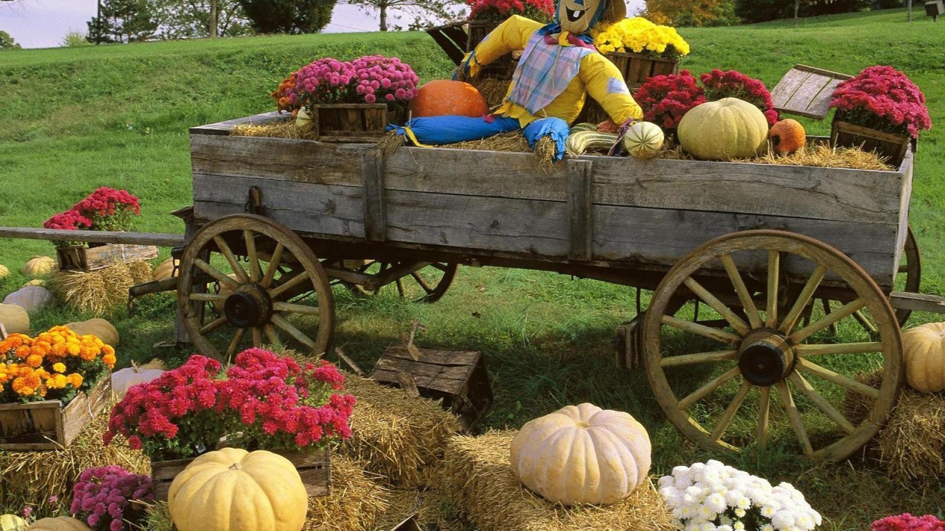 Pumpkin Wagon Wallpapers - Wallpaper Cave