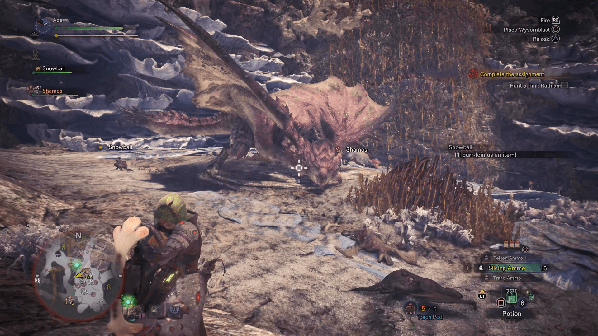 Monster Hunter World Pink Rathian Wallpapers - Wallpaper Cave