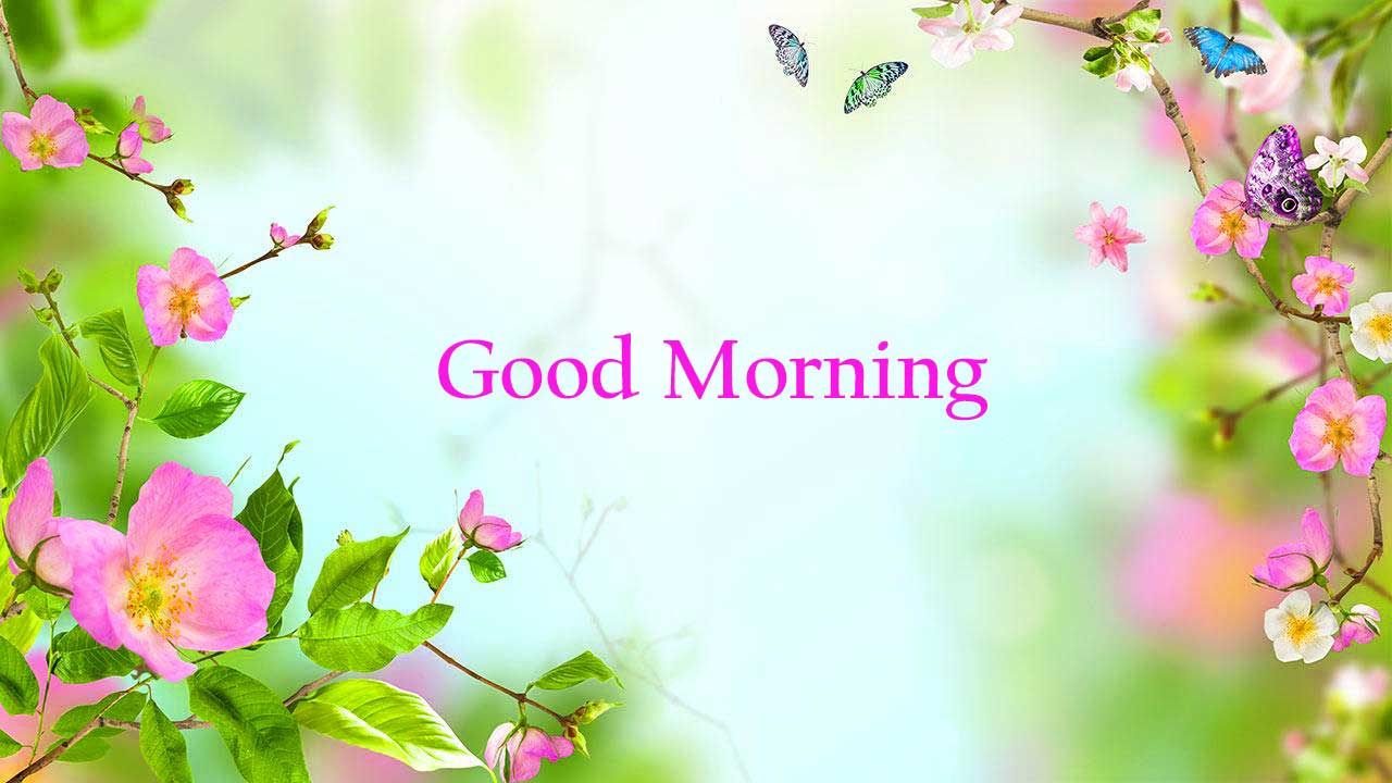 Glorious Morning Wallpapers - Wallpaper Cave