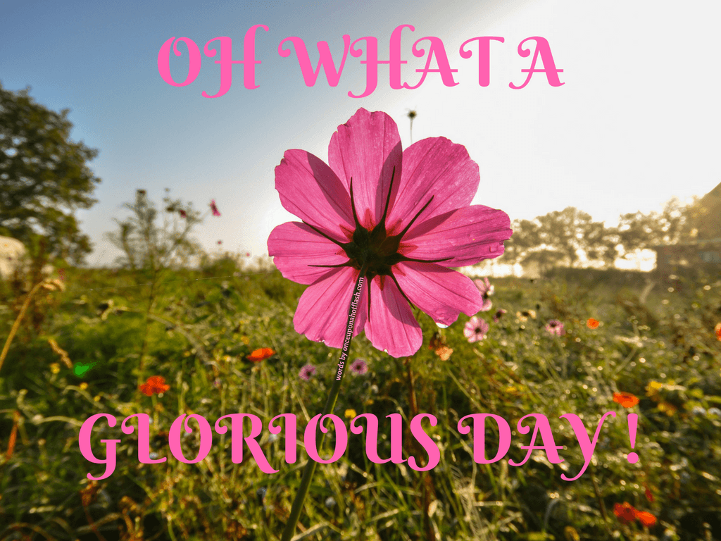 Glorious Morning Wallpapers - Wallpaper Cave