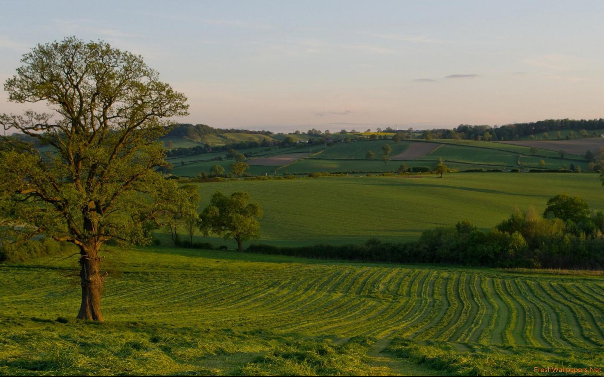 Sunset Over The Field Wallpapers - Wallpaper Cave
