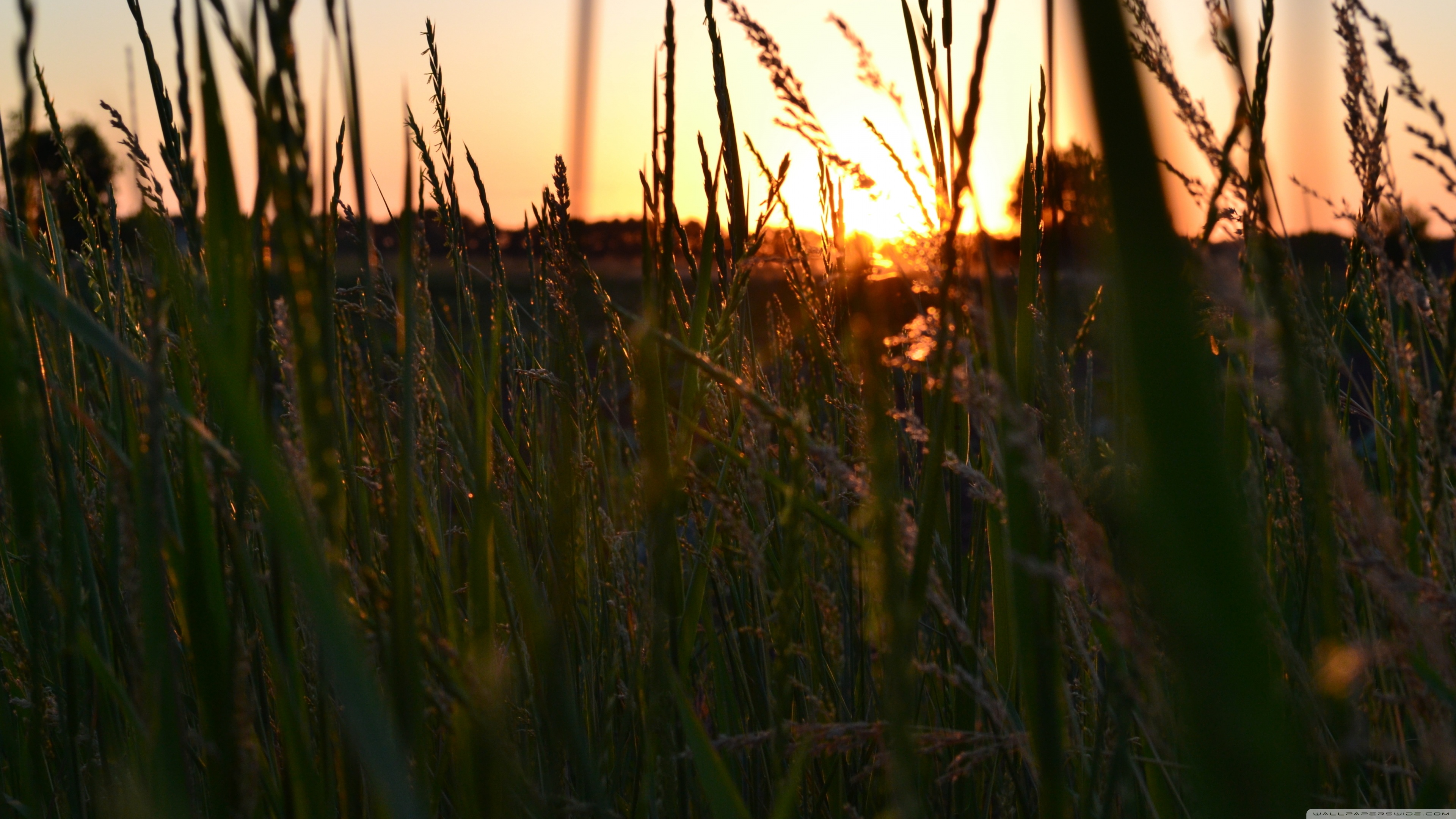 Sunset Over The Field Wallpapers - Wallpaper Cave