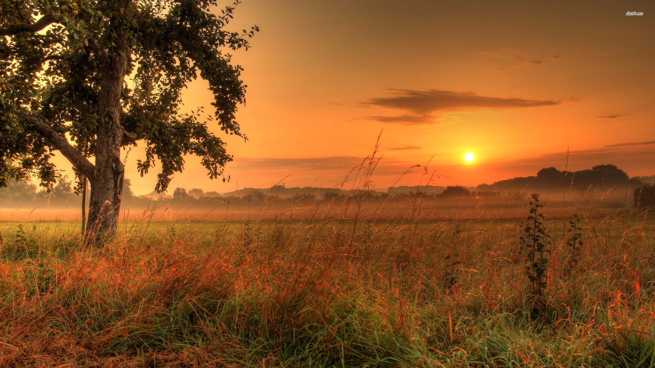 Sunset Over The Field Wallpapers - Wallpaper Cave