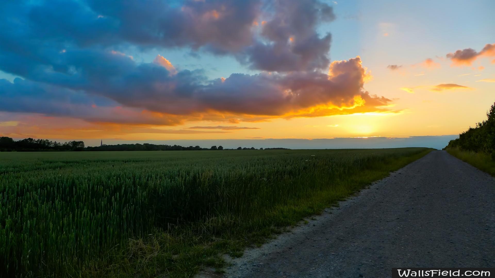 Sunset Over The Field Wallpapers - Wallpaper Cave