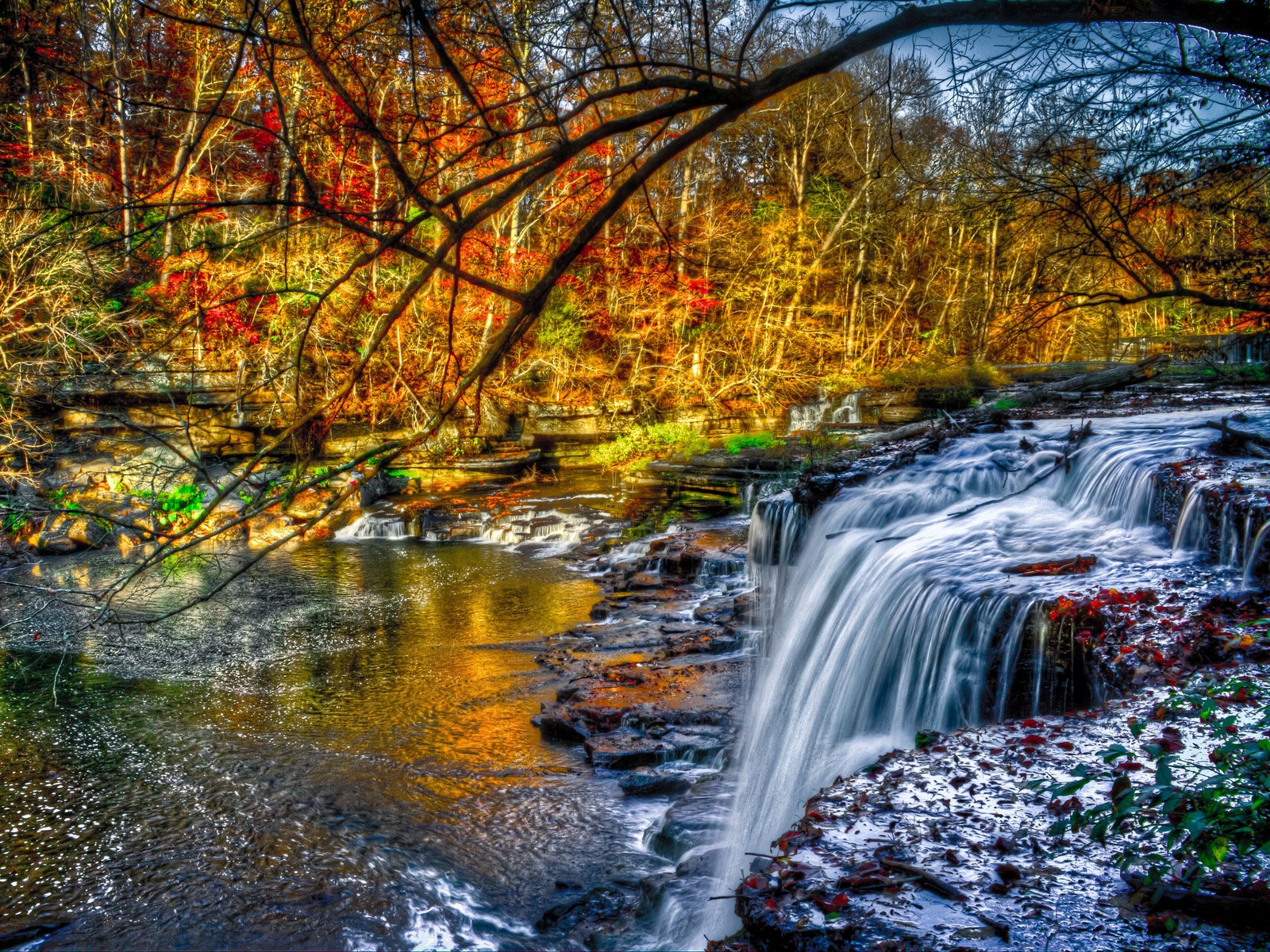 Forest River Wallpapers - Wallpaper Cave