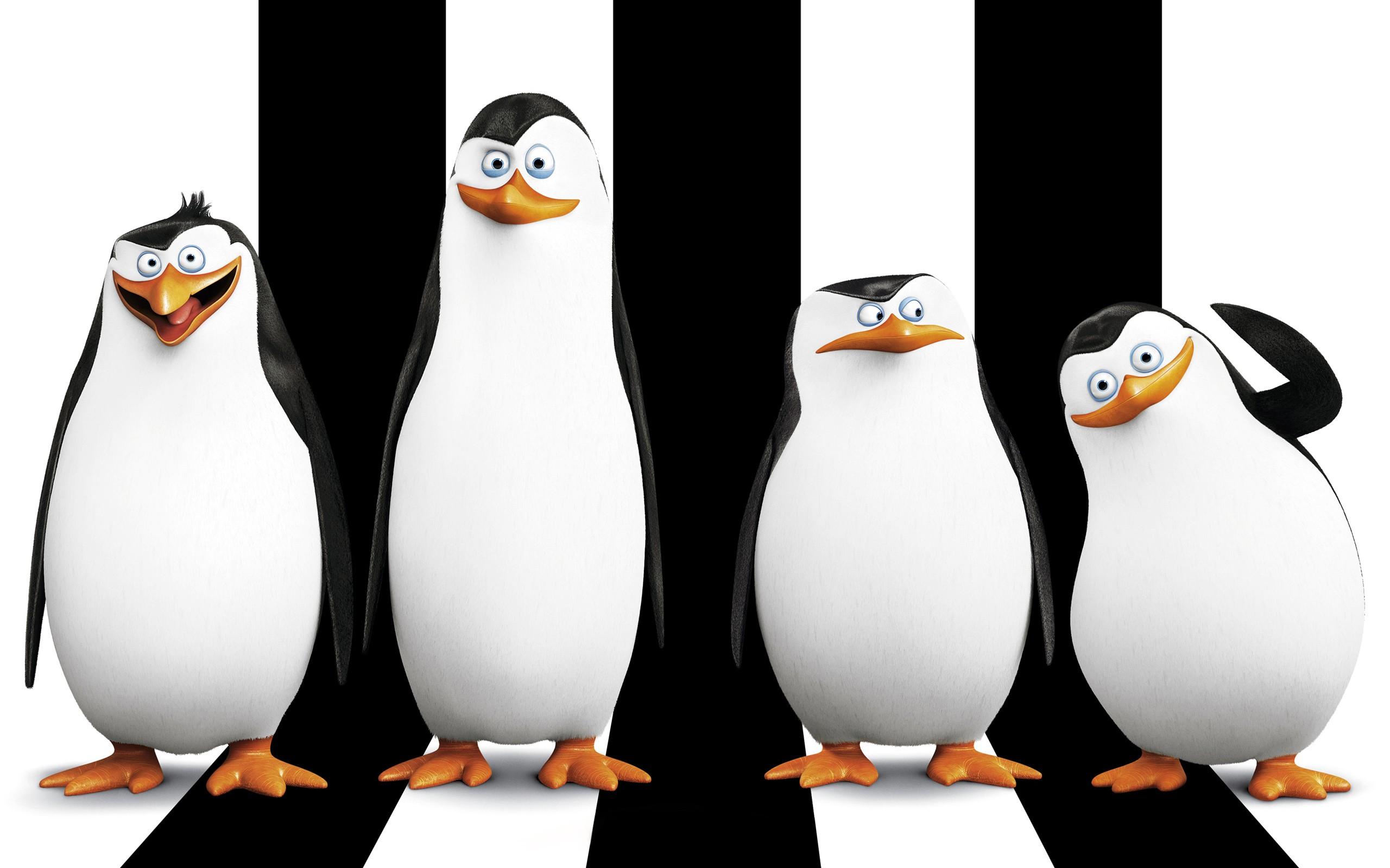 Cartoon Penguin Wallpapers - Wallpaper Cave