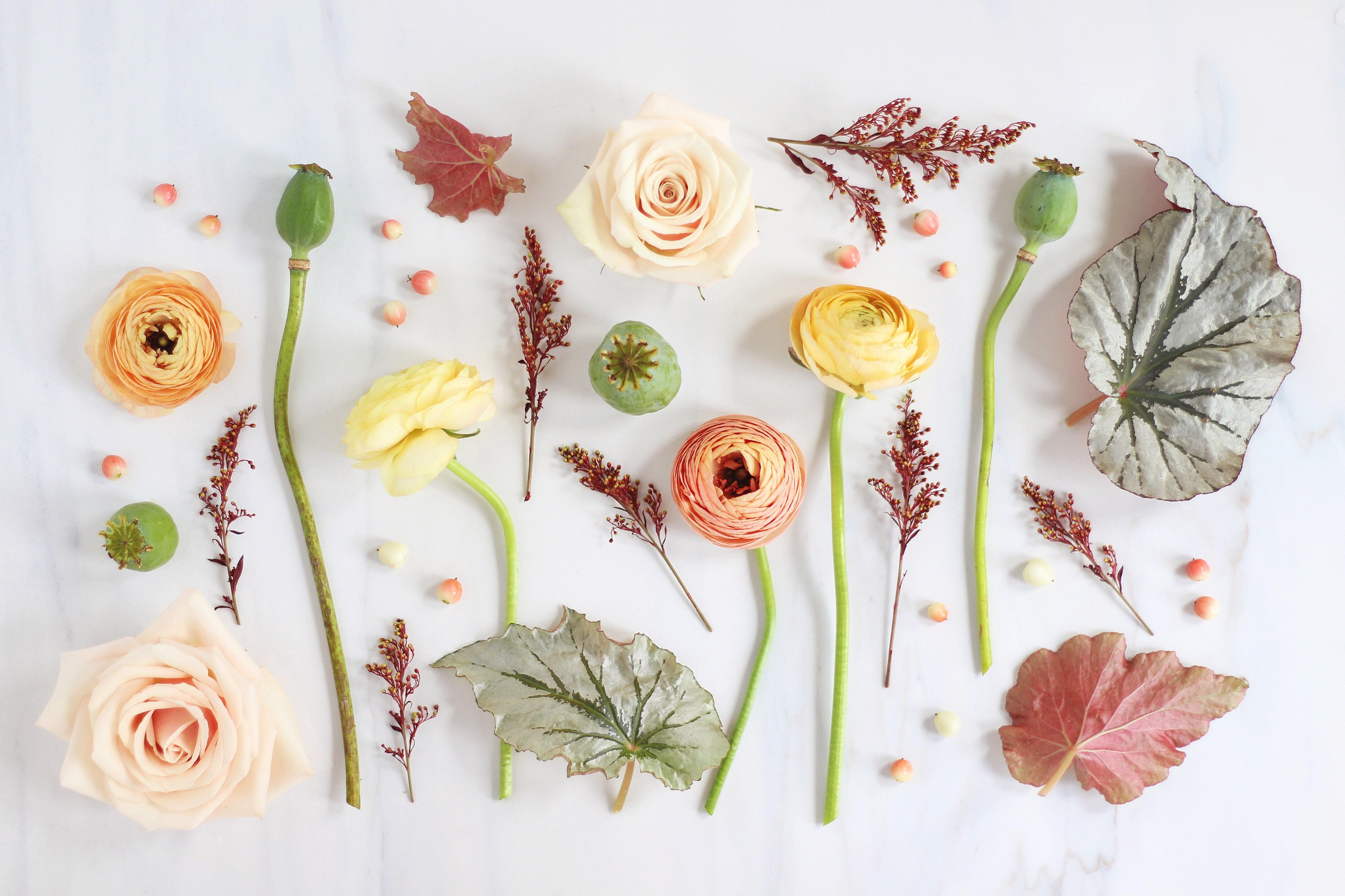 Happy Autumn 2019 Wallpapers - Wallpaper Cave