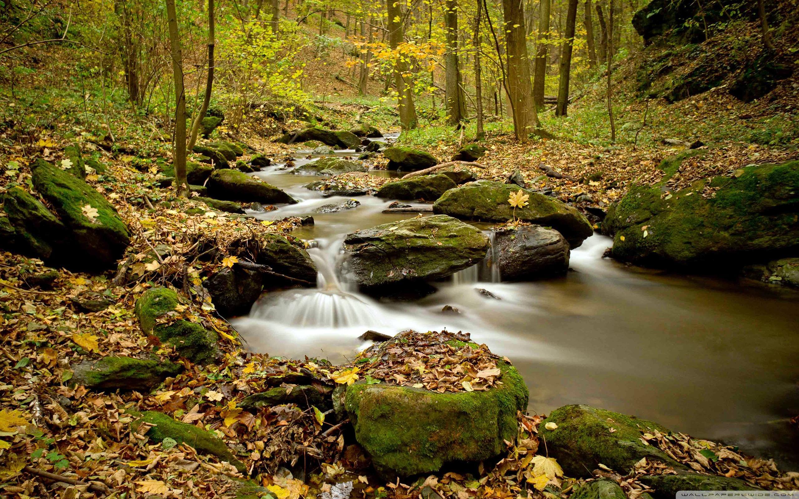 Autumn River Wallpapers - Wallpaper Cave