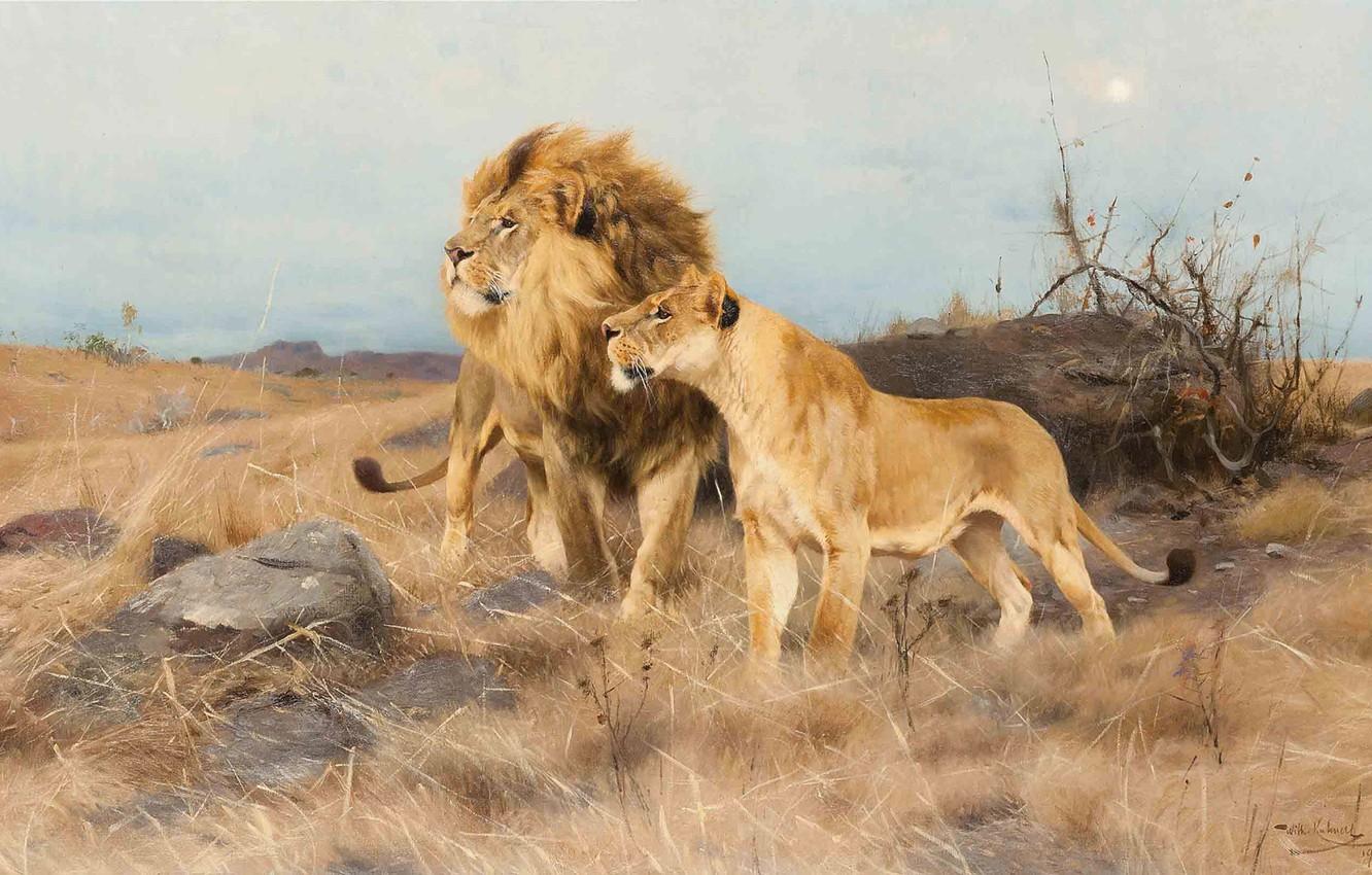 Warpath Wallpapers - Wallpaper Cave