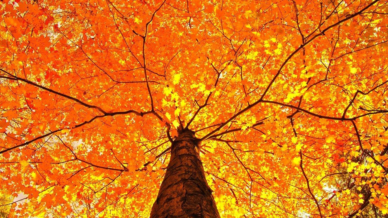 I Love Autumn Wallpapers - Wallpaper Cave