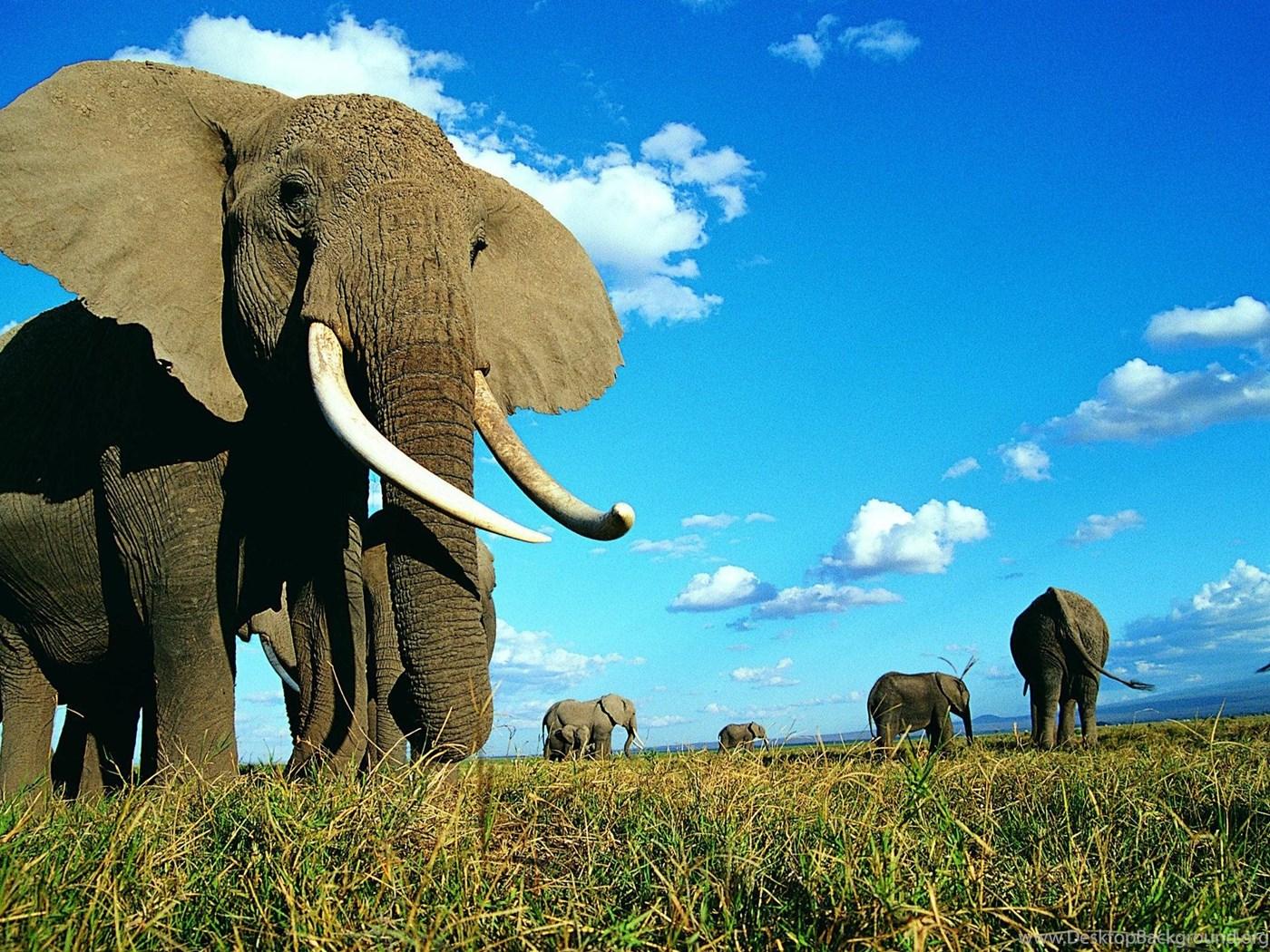 Indian Nature Wallpapers - Wallpaper Cave