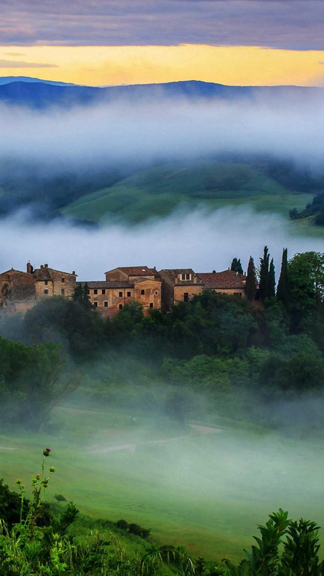 Wallpaper Morning Tuscany Cedars