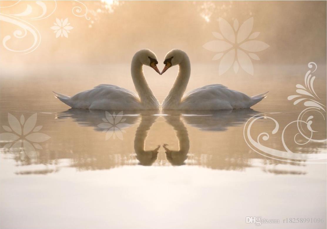 Swan Lake Wallpapers - Wallpaper Cave