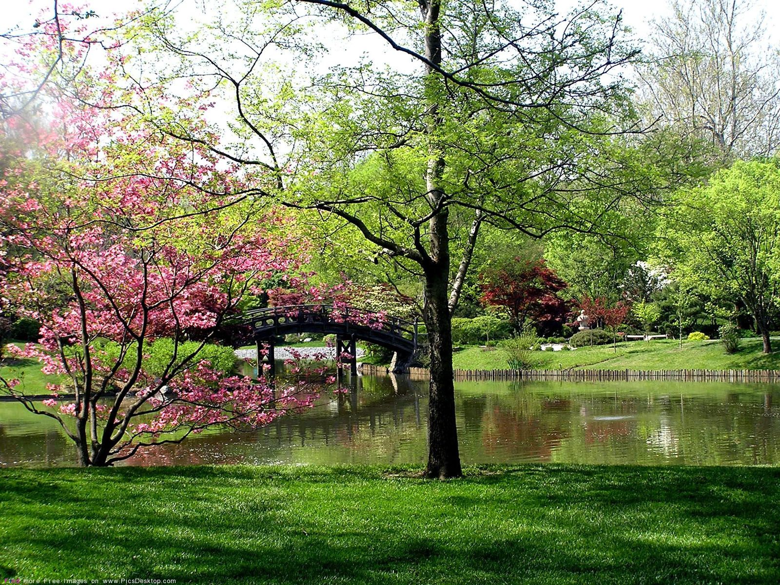 Nature Spring Wallpapers - Wallpaper Cave