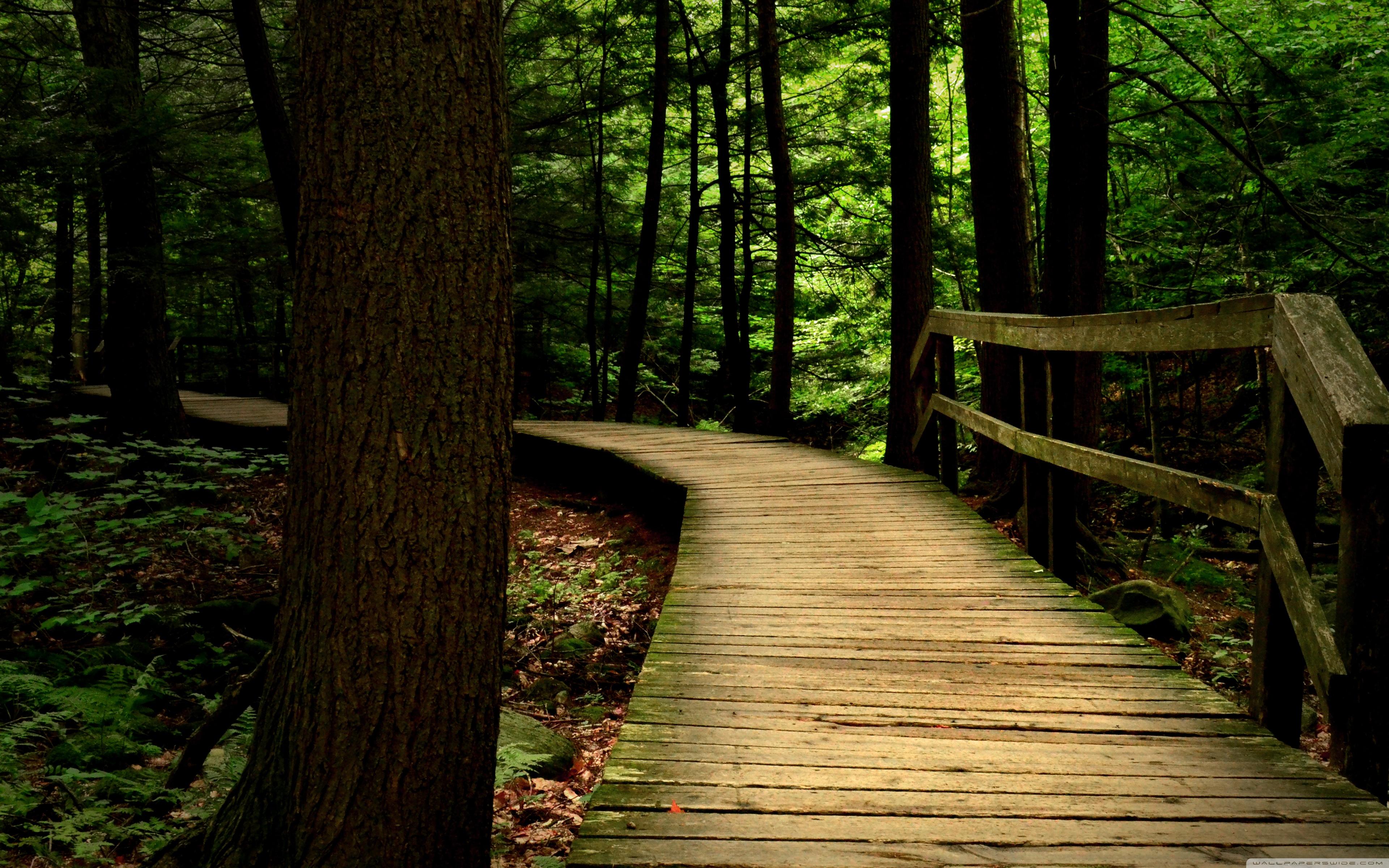 Wooden Bridge Wallpapers - Wallpaper Cave