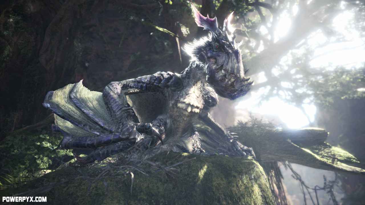 Monster Hunter World Iceborne Yian Garuga Wallpapers - Wallpaper Cave