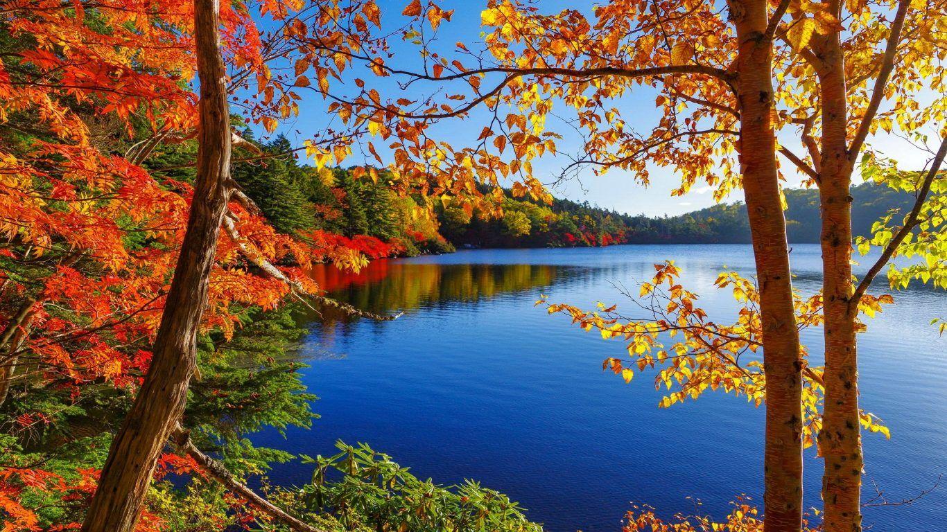 Autumn Reflection Wallpapers - Wallpaper Cave