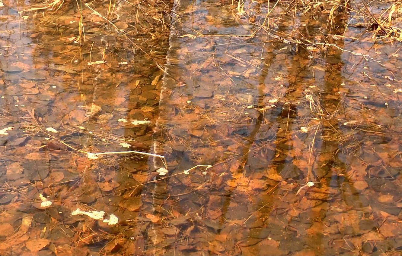 Autumn Leaves Reflection Wallpapers - Wallpaper Cave