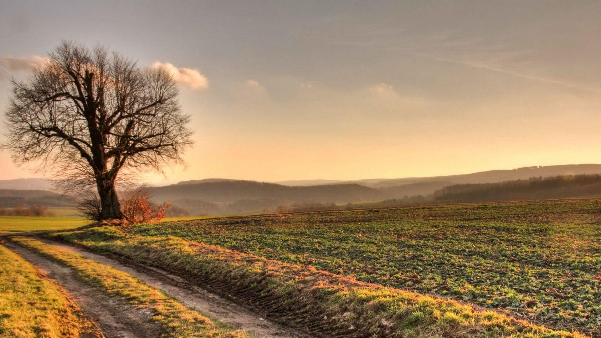 Countryside Road, Trees And Sunshine Wallpapers - Wallpaper Cave