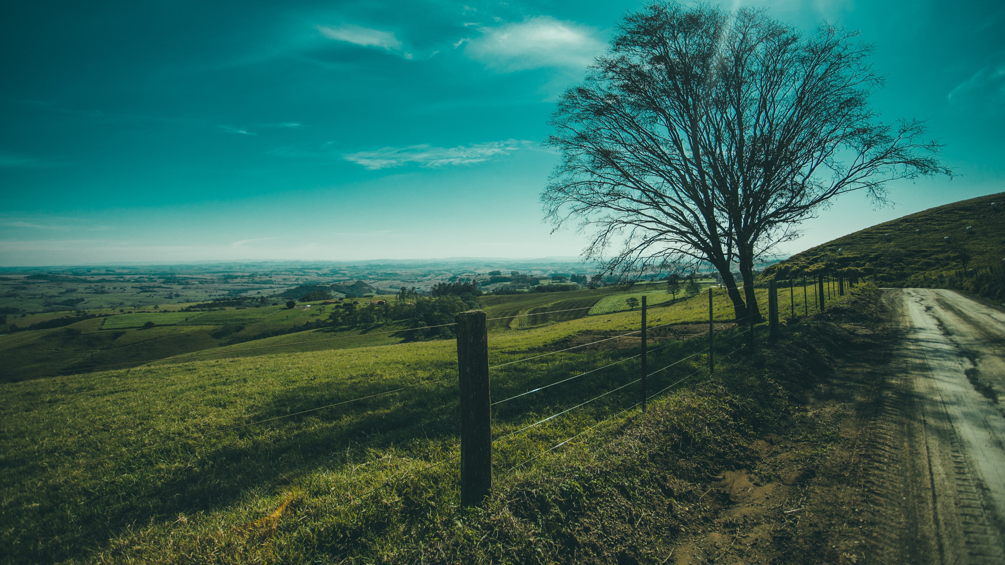 Countryside Road, Trees And Sunshine Wallpapers - Wallpaper Cave