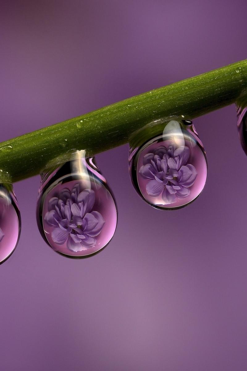 Purple Reflection Wallpapers - Wallpaper Cave