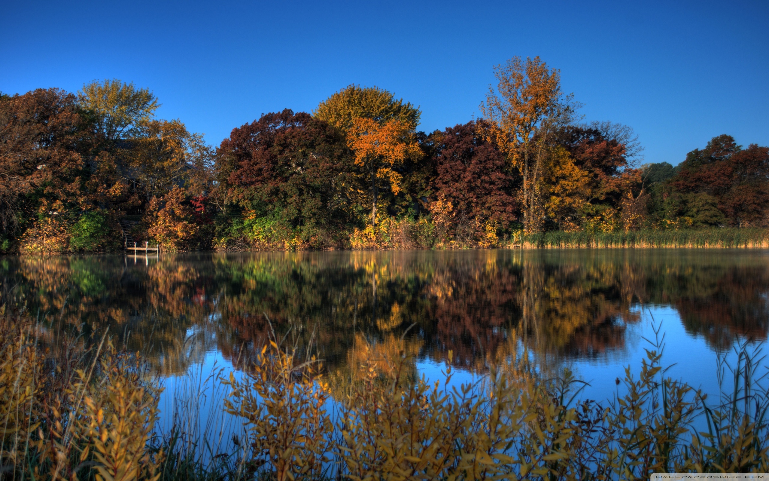 Autumn Pond Wallpapers - Wallpaper Cave