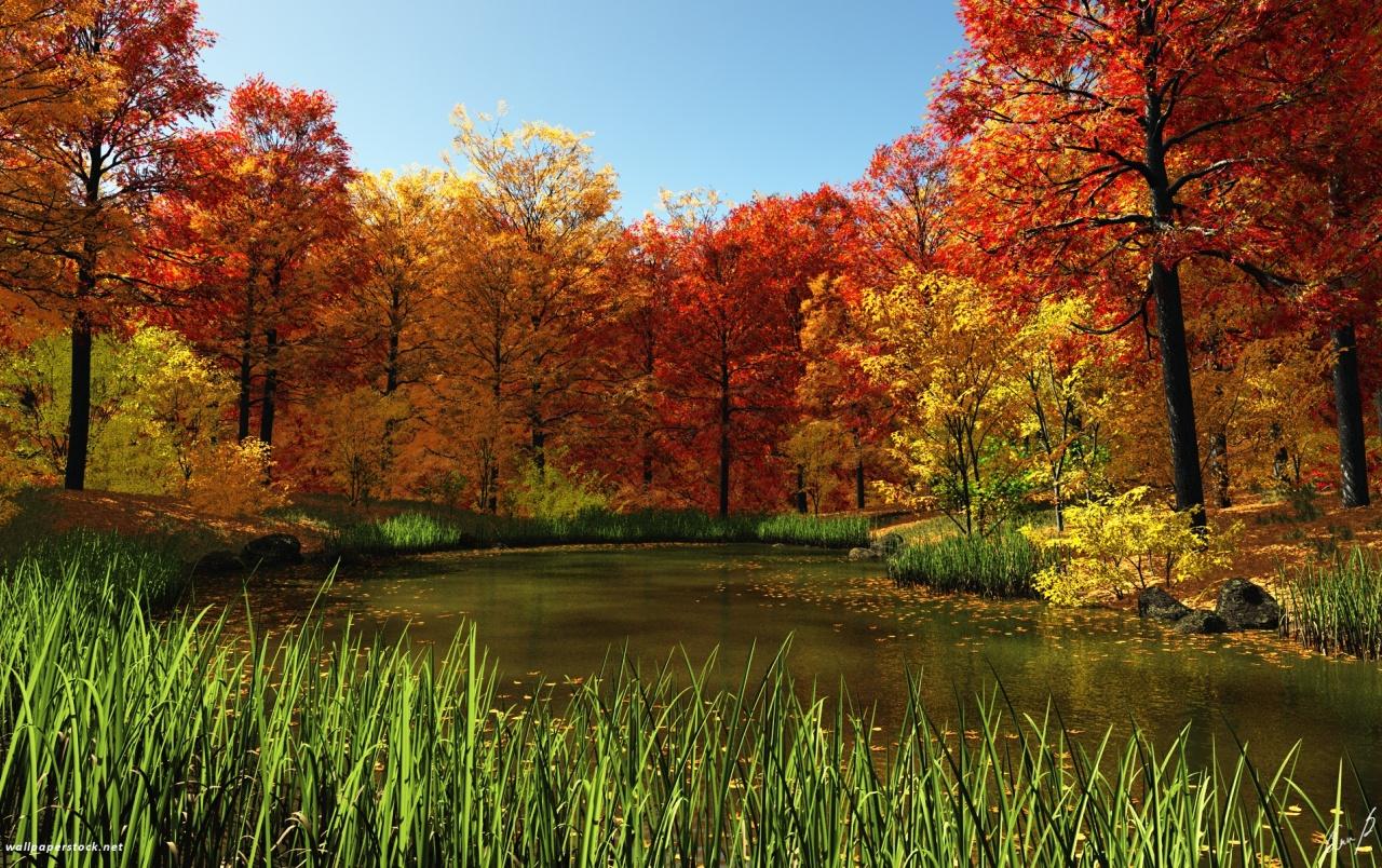Autumn Pond Wallpapers - Wallpaper Cave