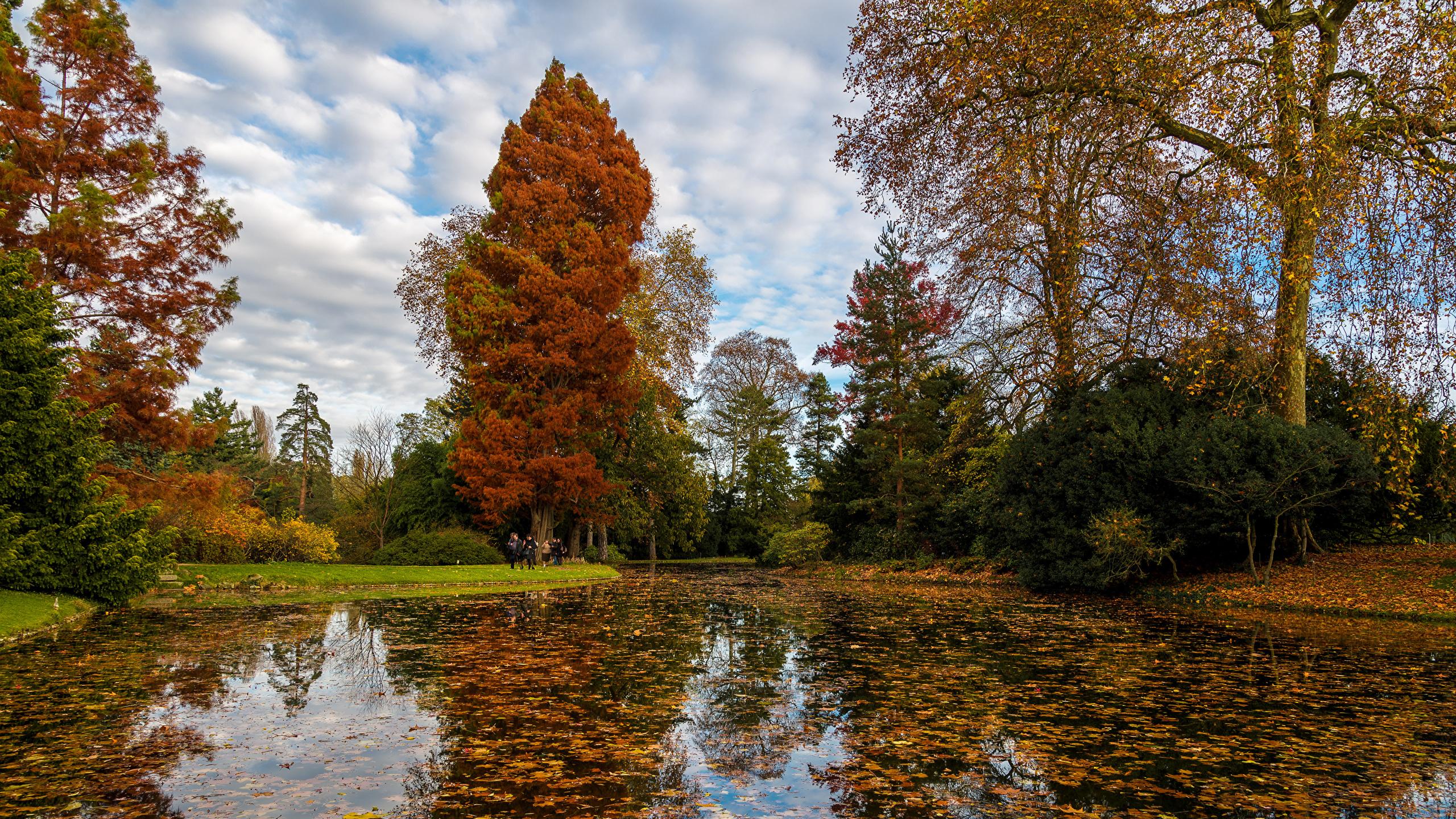 Autumn Pond Wallpapers - Wallpaper Cave