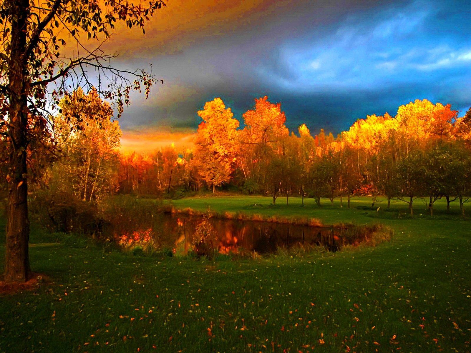 Autumn Pond Wallpapers - Wallpaper Cave