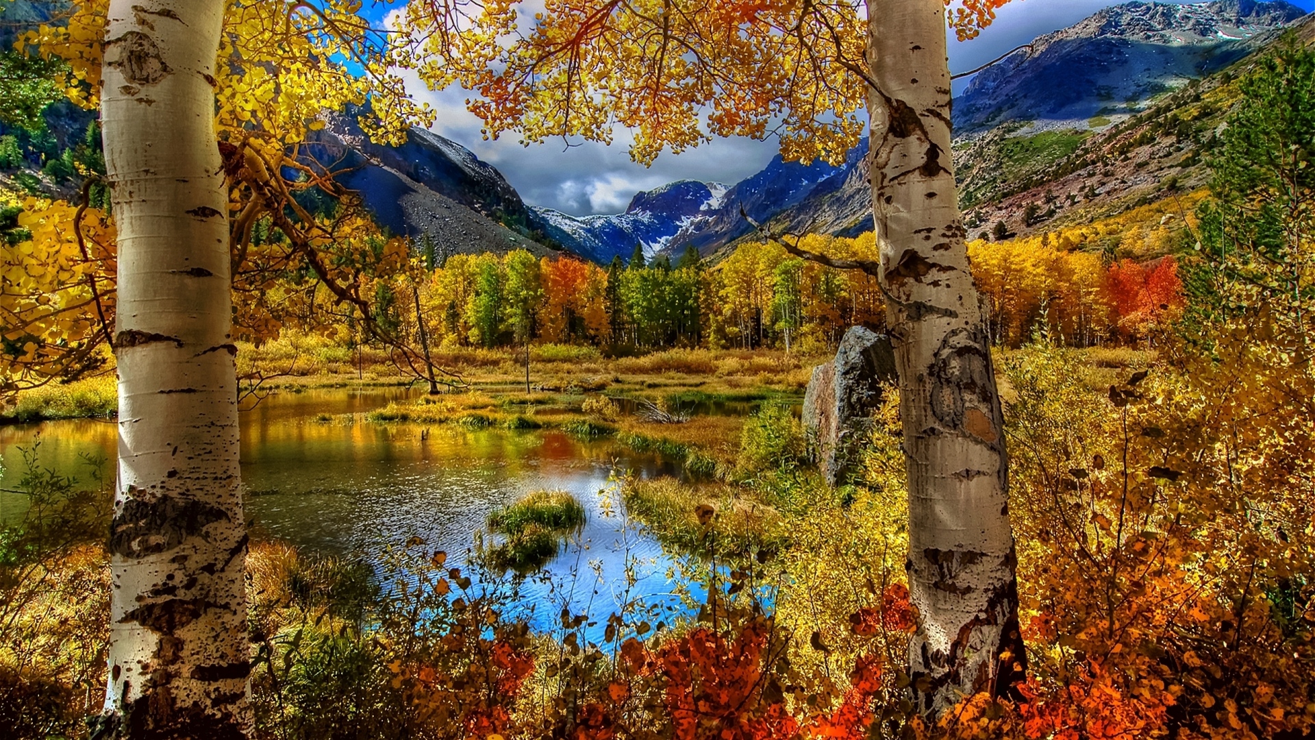 Autumn Pond Wallpapers - Wallpaper Cave