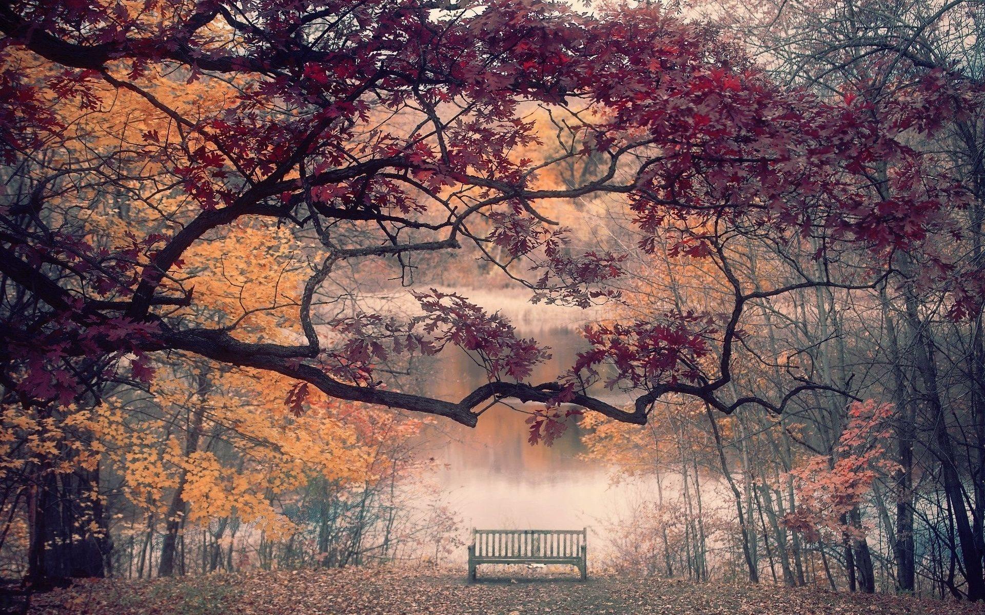 Autumn Pond Wallpapers - Wallpaper Cave