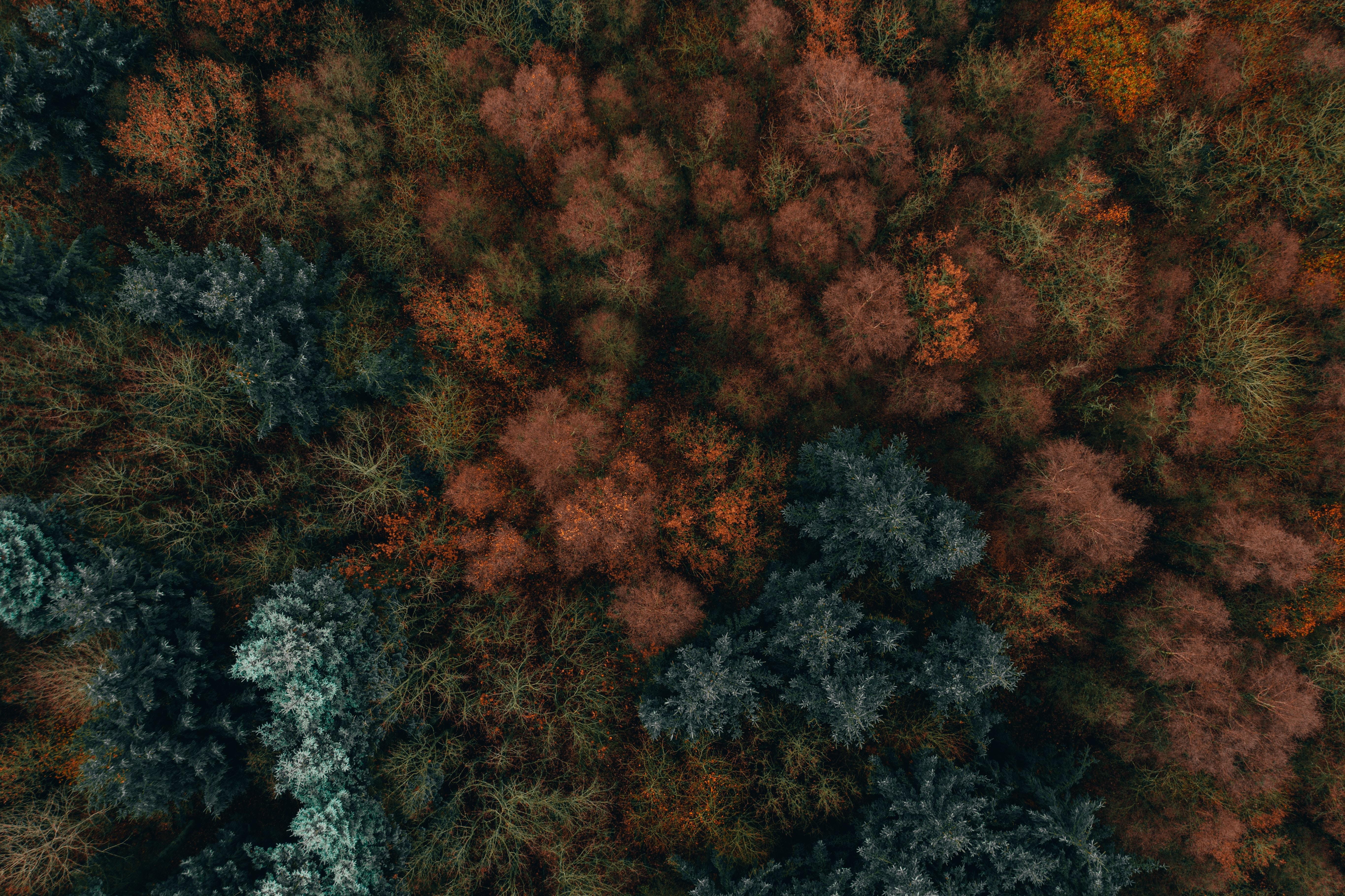 Autumn Aerial Wallpapers - Wallpaper Cave