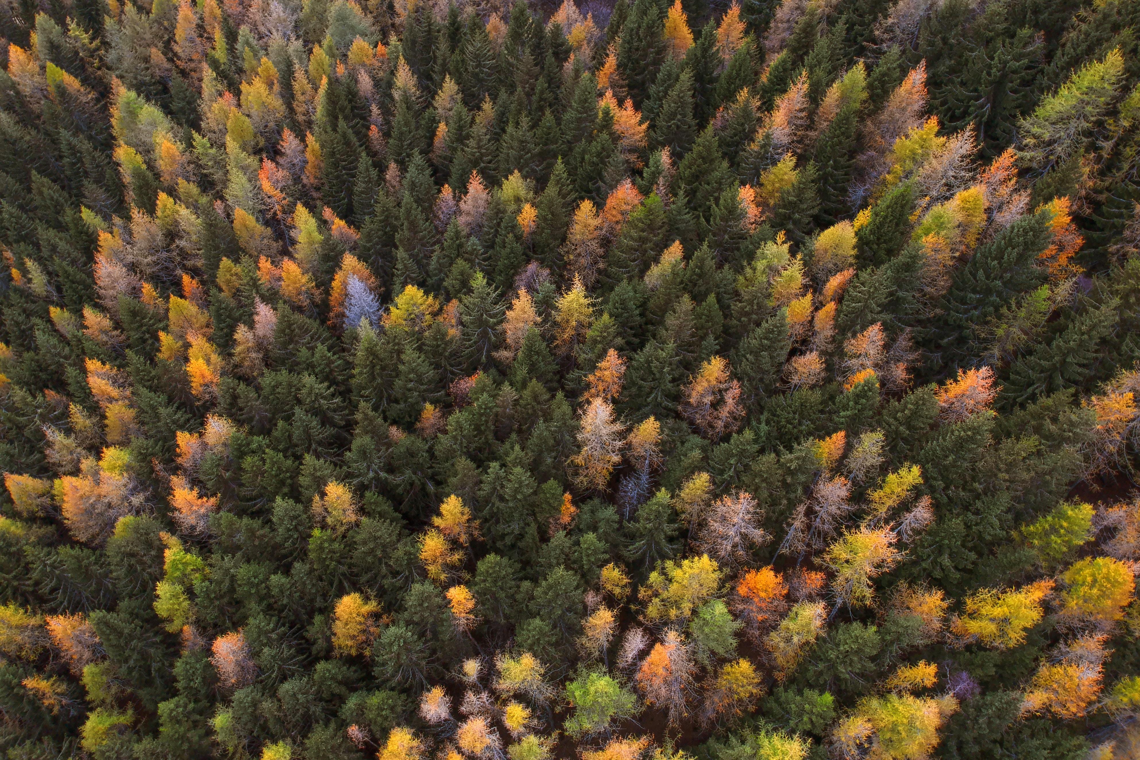 Autumn Aerial Wallpapers - Wallpaper Cave
