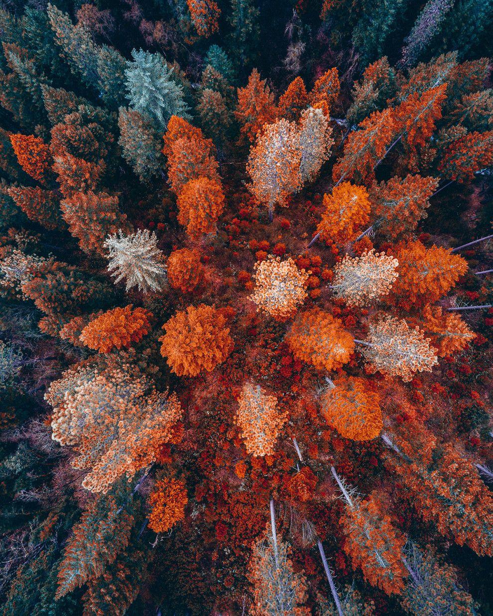 Autumn Aerial Wallpapers - Wallpaper Cave