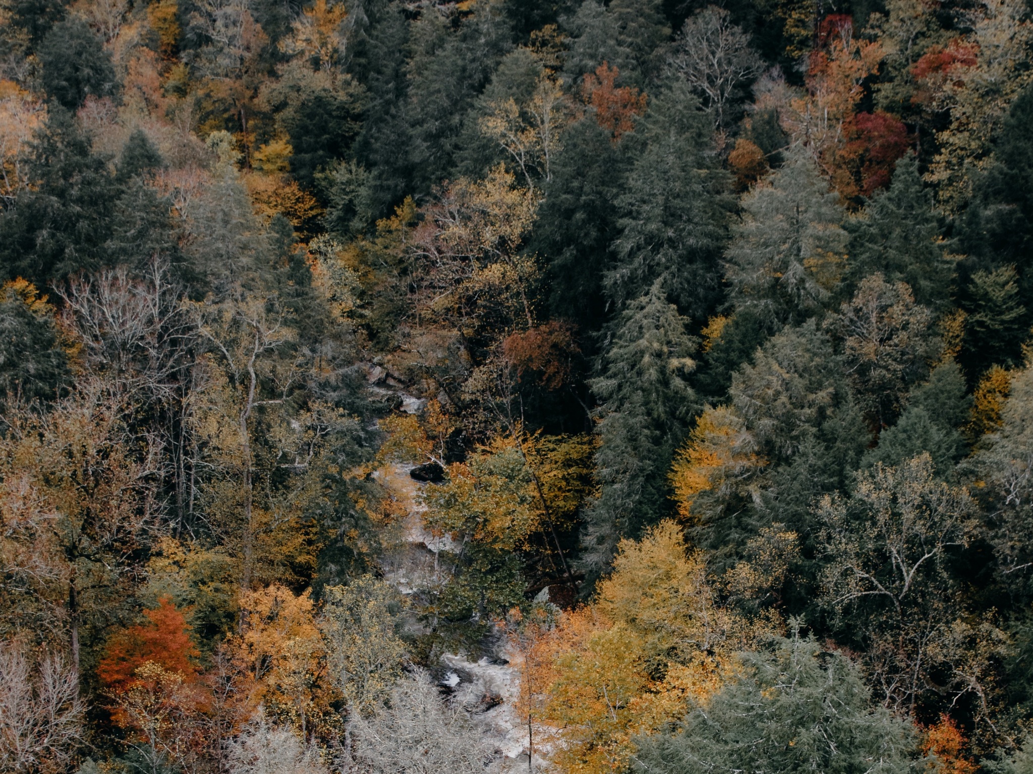 Autumn Aerial Wallpapers - Wallpaper Cave