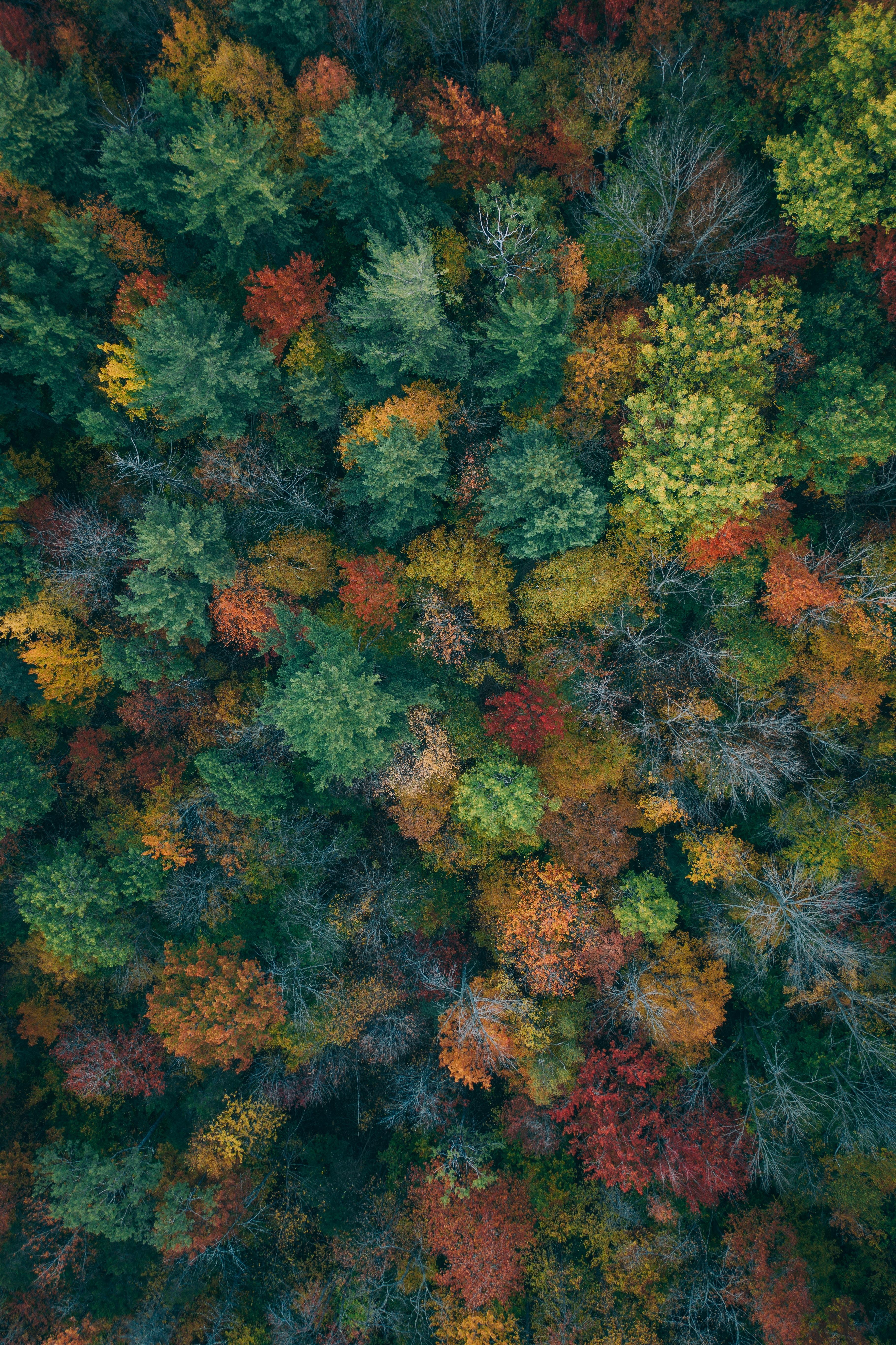 Autumn Aerial Wallpapers - Wallpaper Cave