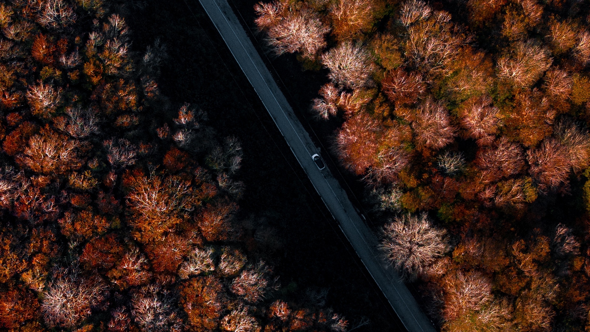Autumn Aerial Wallpapers - Wallpaper Cave