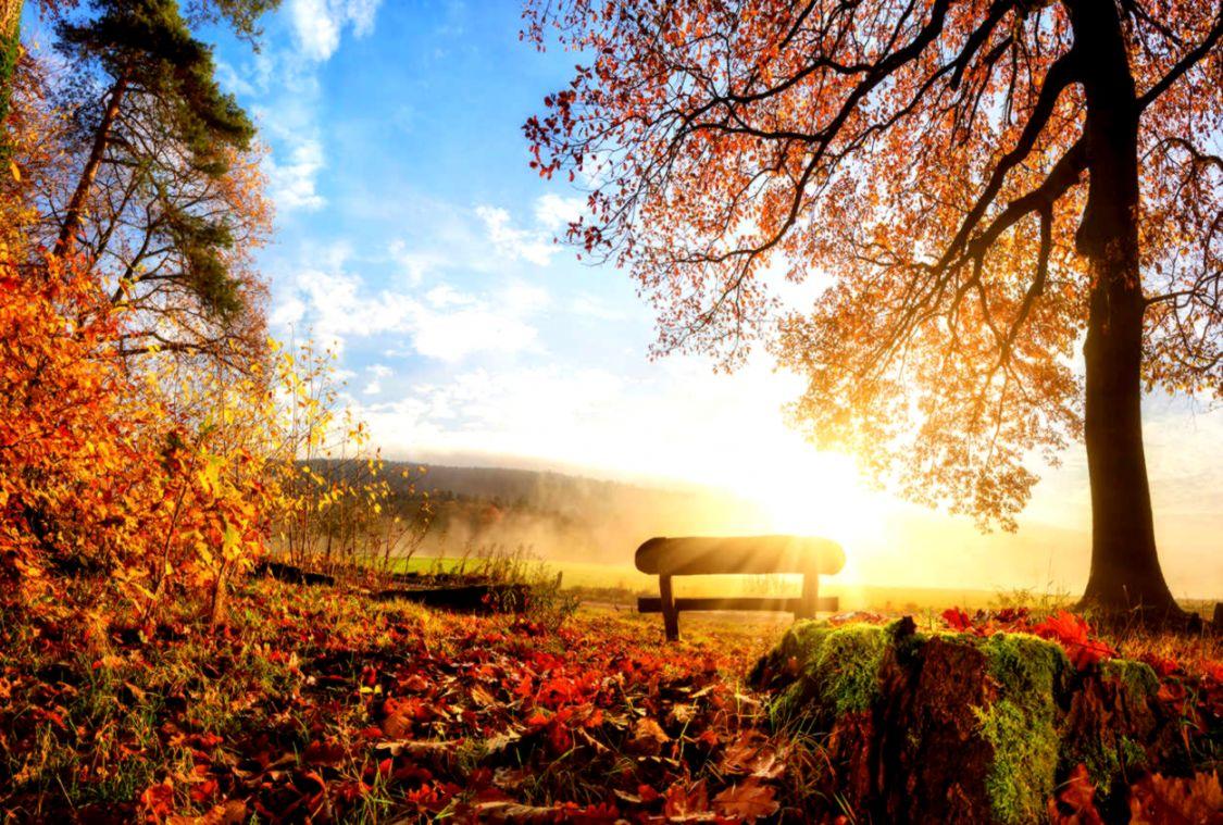 Autumn Morning Wallpapers - Wallpaper Cave