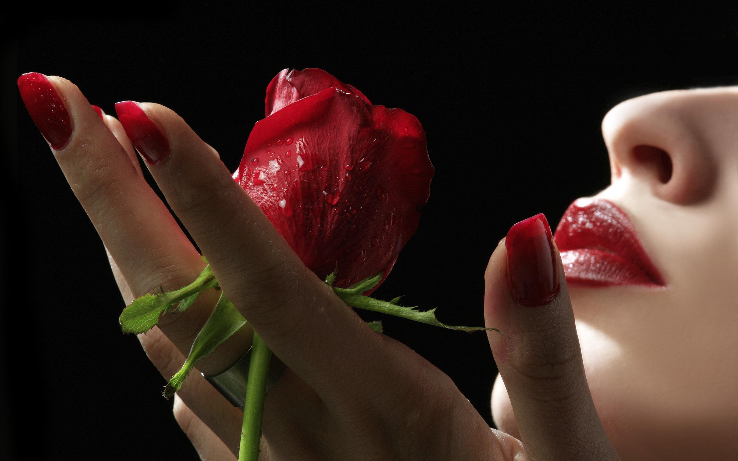 Hand Beautiful Rose Wallpapers - Wallpaper Cave