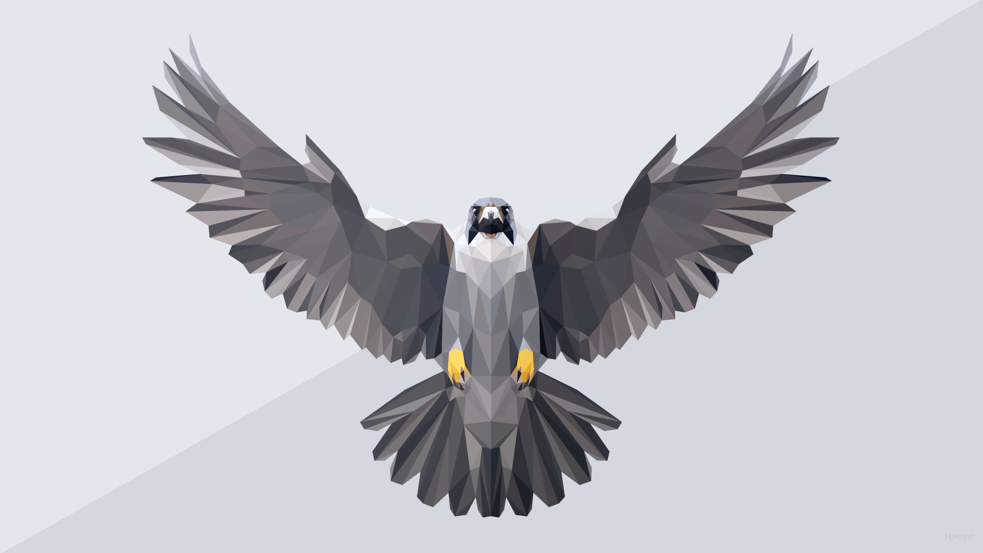 Awesome Falcon Wallpapers - Wallpaper Cave