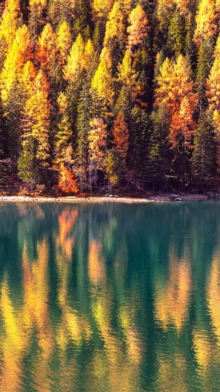 Golden Autumn Reflections Wallpapers - Wallpaper Cave