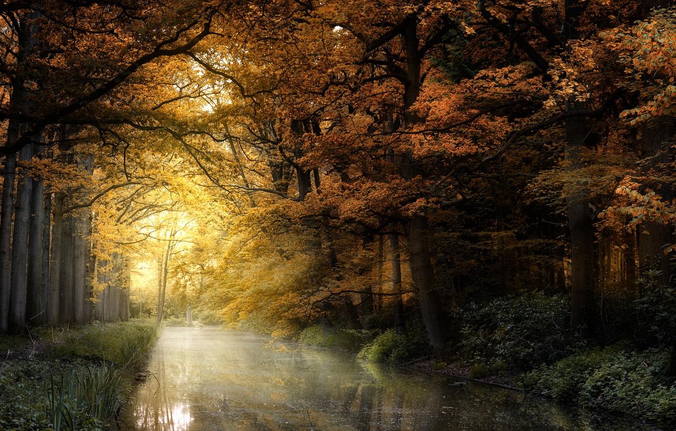 Golden Autumn Reflections Wallpapers - Wallpaper Cave