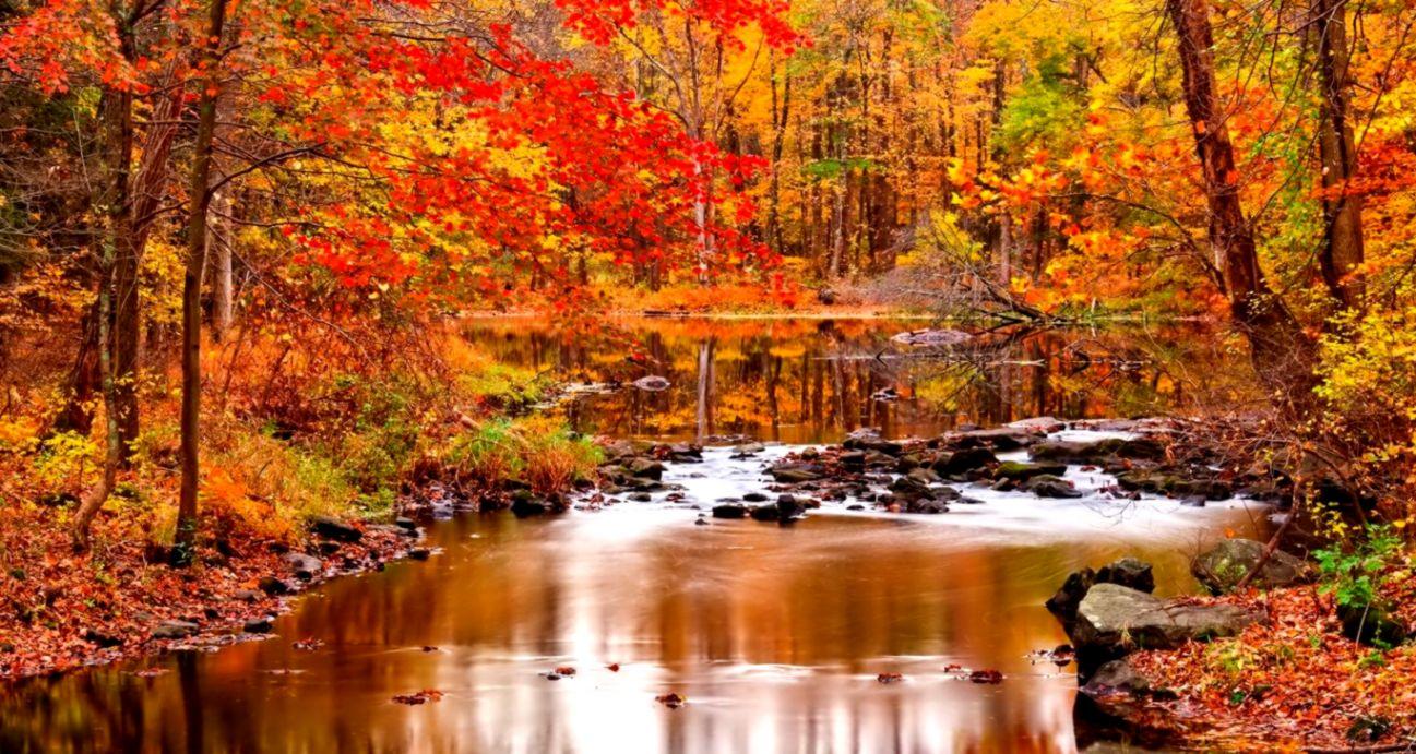 Golden Autumn Reflections Wallpapers - Wallpaper Cave