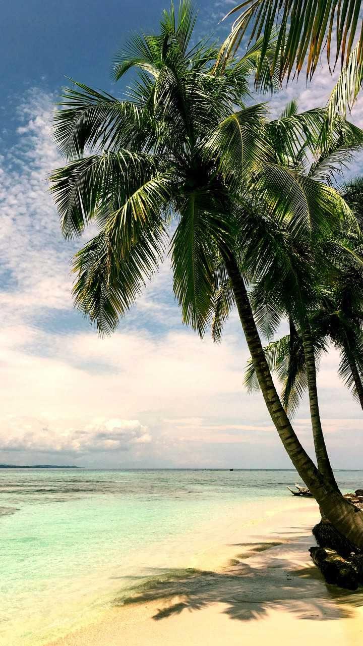 Awesome Panama Wallpapers - Wallpaper Cave