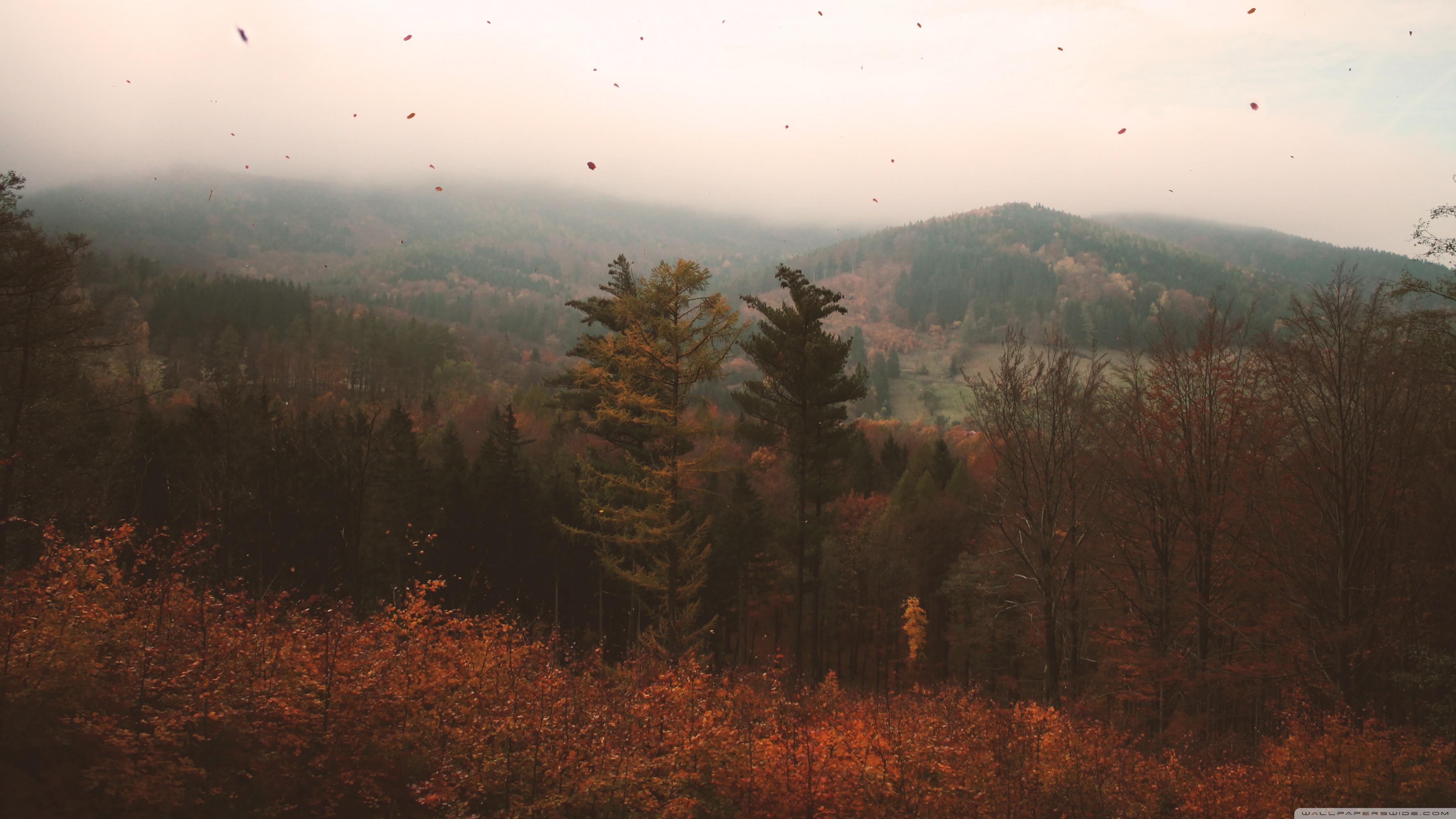 Autumn Memories Wallpapers - Wallpaper Cave