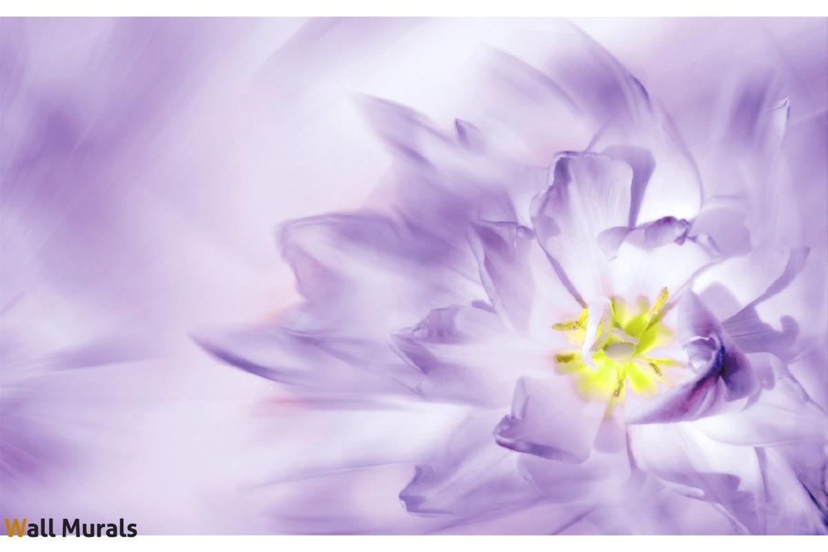 Delicate Pastels Wallpapers - Wallpaper Cave