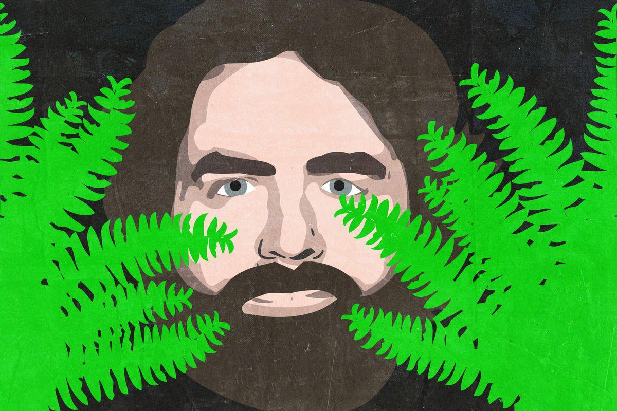 Between Two Ferns: The Movie Wallpapers - Wallpaper Cave