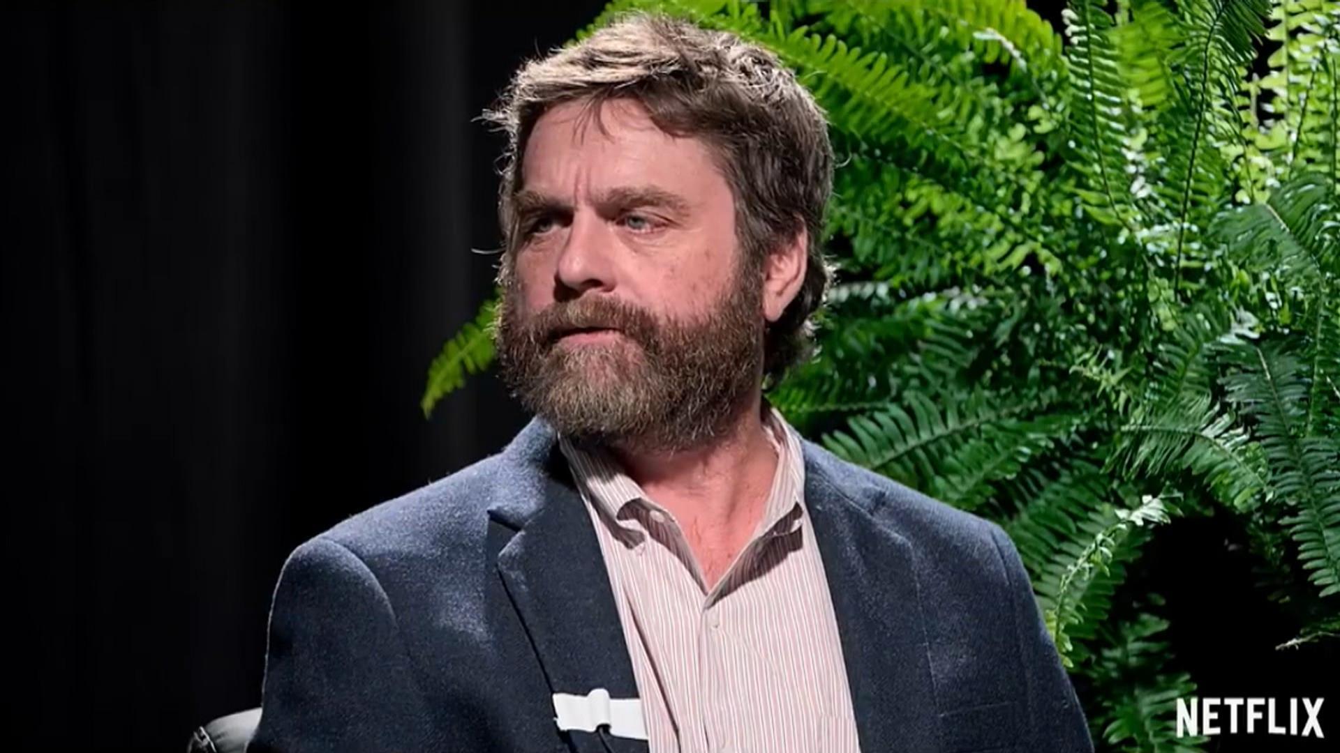 Between Two Ferns: The Movie Wallpapers - Wallpaper Cave