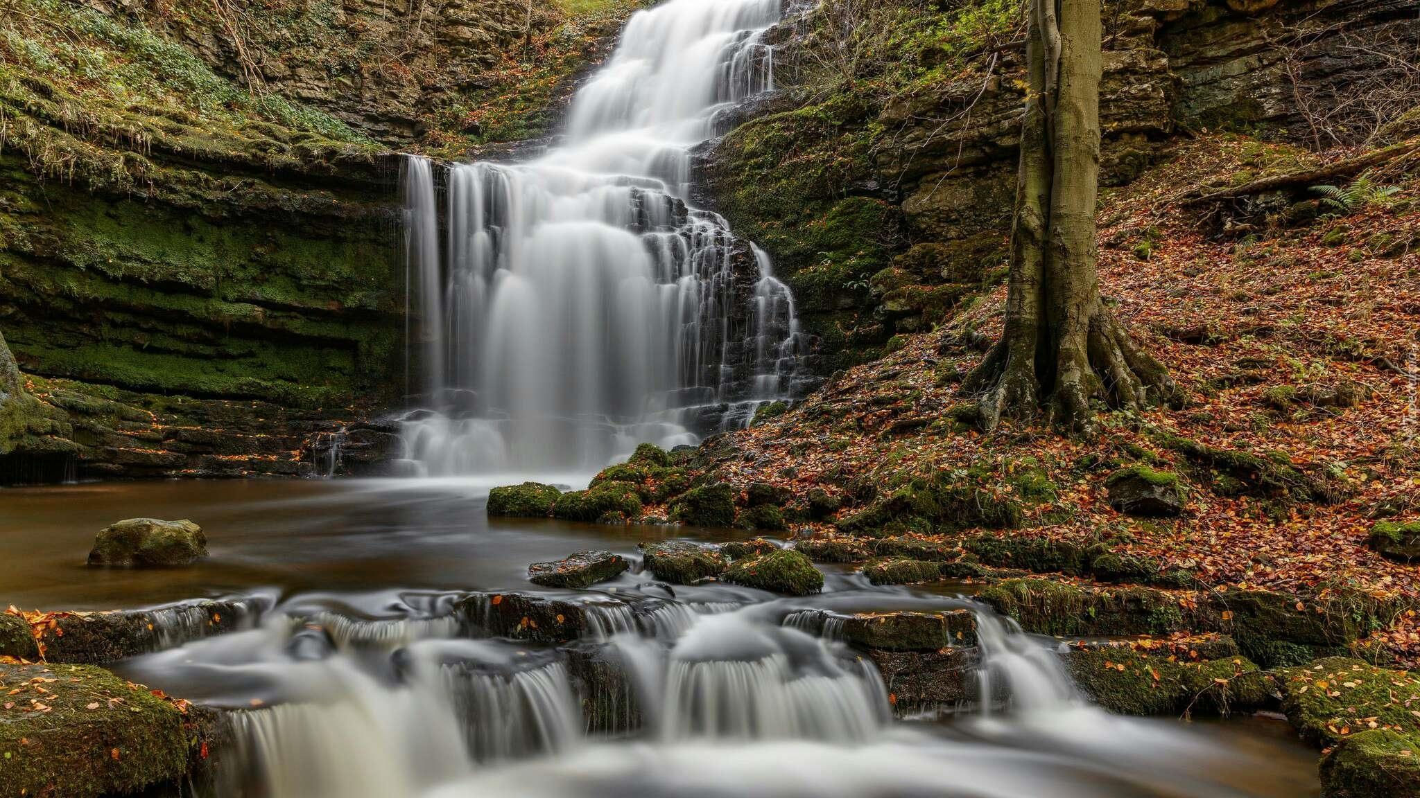 Scaleber Force Waterfall Wallpapers - Wallpaper Cave