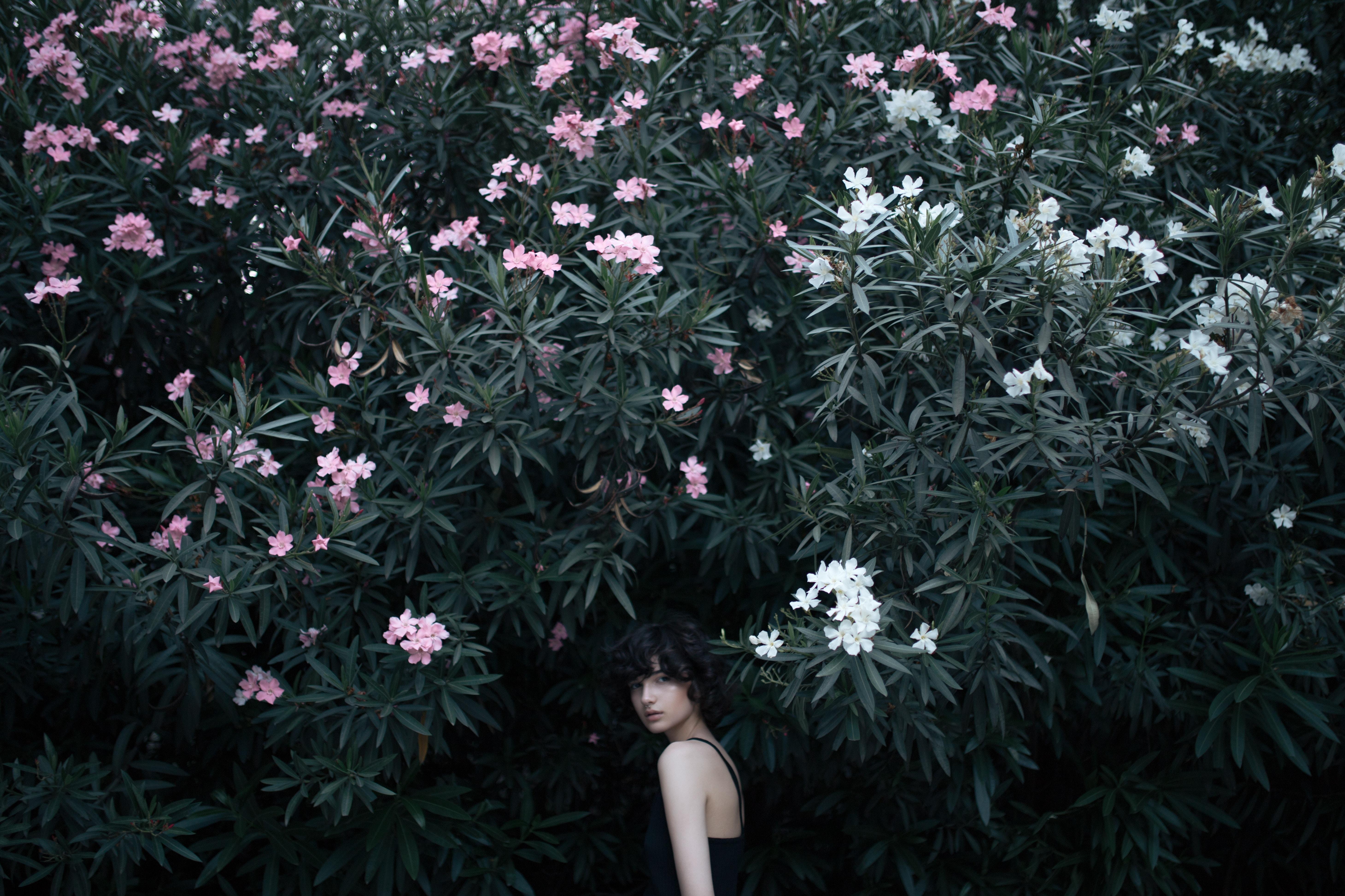 Woman Hiding Behind Tree Wallpapers - Wallpaper Cave Woman Hiding Behind Tree Wallpapers - Wallpaper Cave